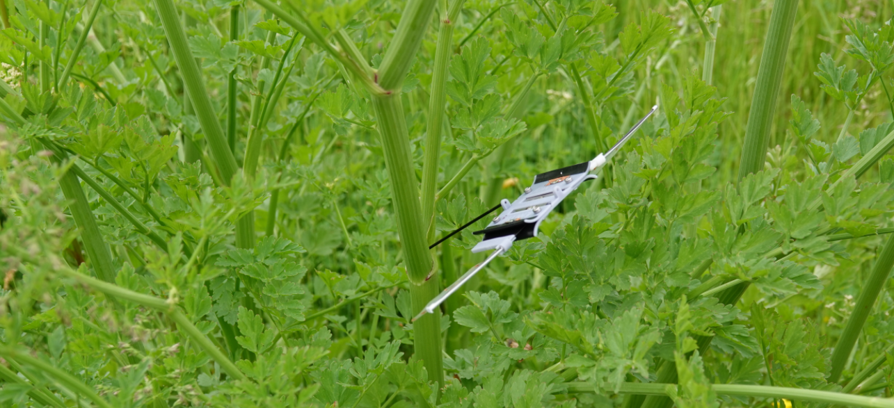 Bristol scientists develop insect-sized flying robots with flapping ...
