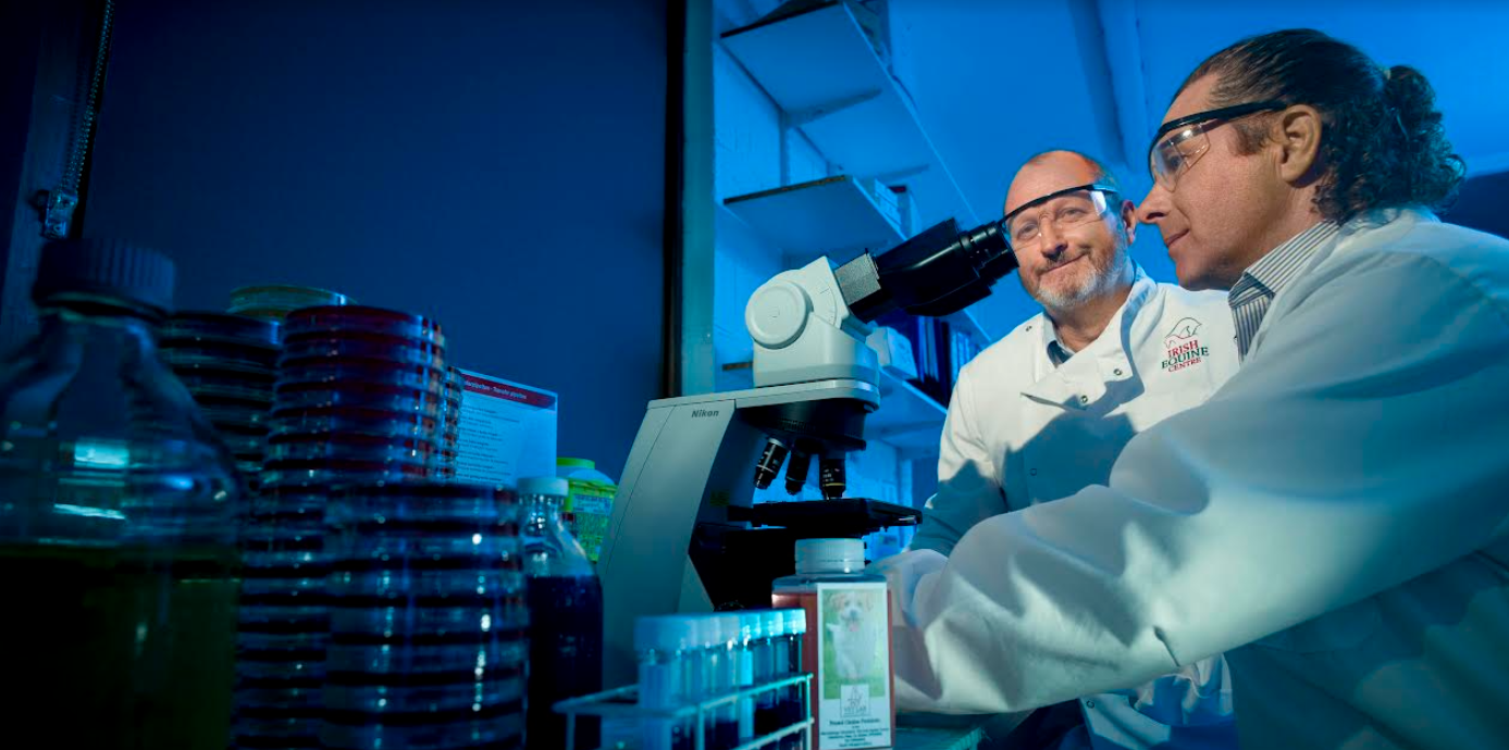 Datapac’s technology supports horse health and wellbeing for the Irish ...