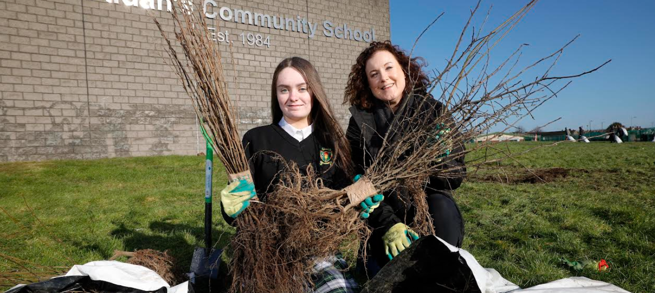 Microsoft celebrates milestone of 25,000 trees planted in south and ...