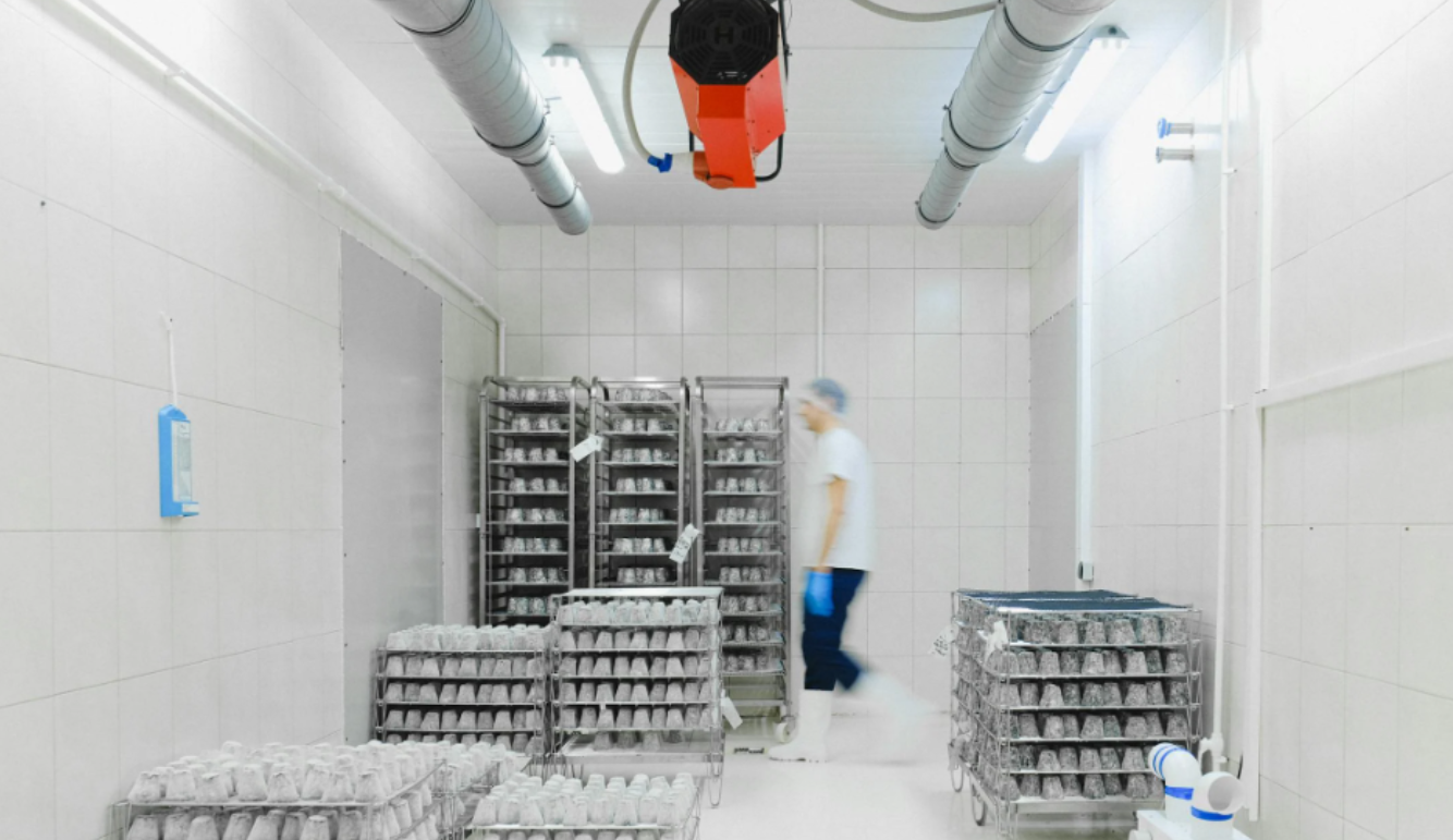 Ireland’s Cold Chain Gets Smarter: The Growing Role of Freezer ...